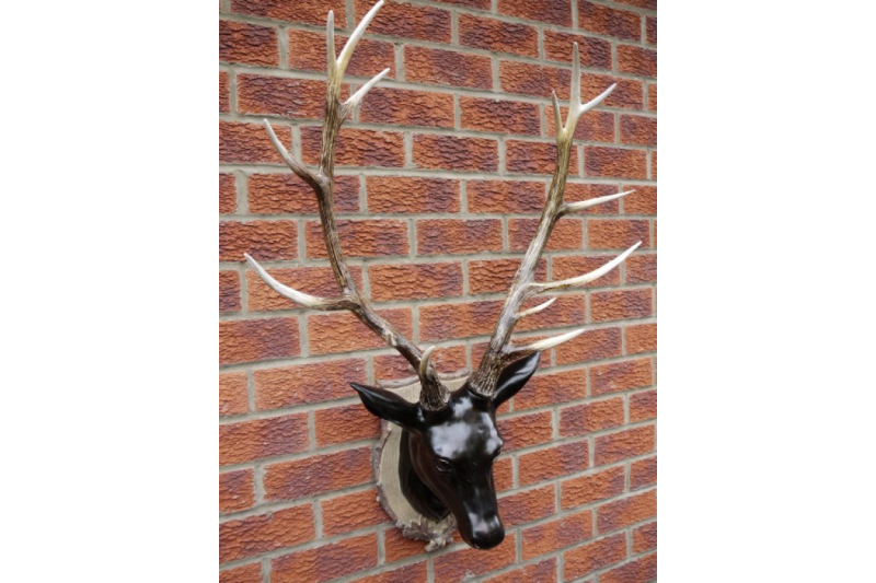 Large Stag Head Wall Decoration (Gloss Black/Rustic) - Copperwood Home